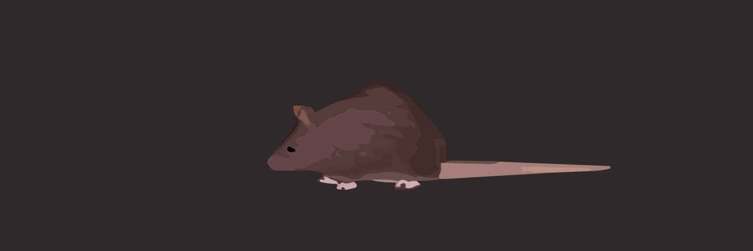 $SPINRAT | a spinning rat
